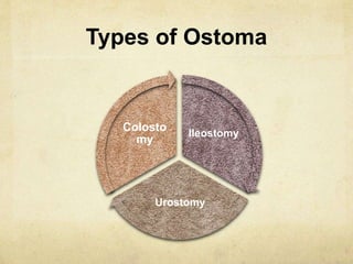 What is an Ostomy | PPSX