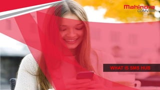 What is an Sms Hub | PPTX