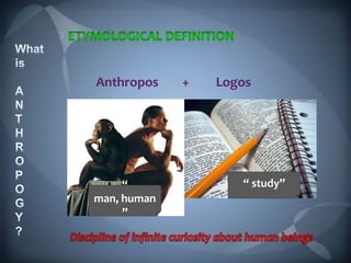What is anthropology | PPTX