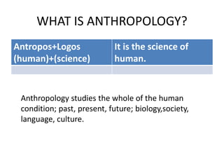 What is anthropology | PPTX