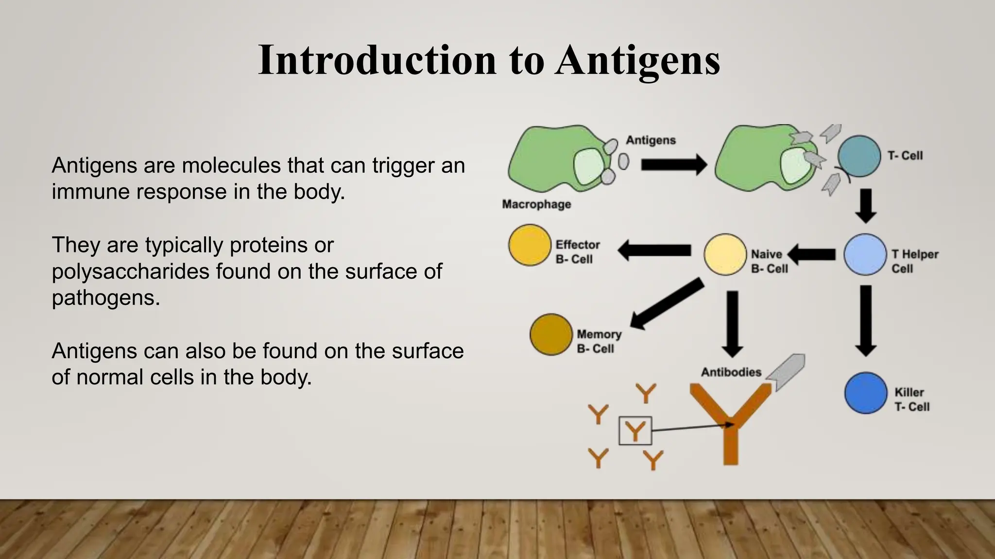 What Is Antigen presentation.pptx chemistry ppt | PPT