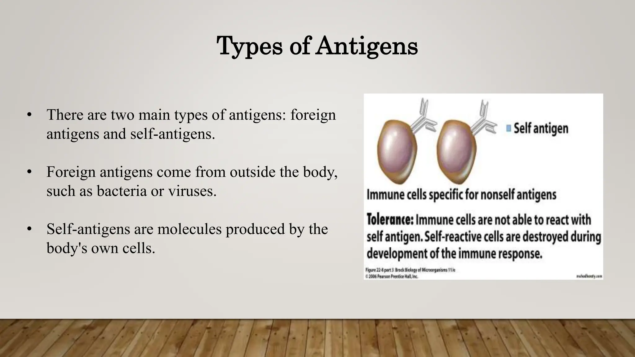 What Is Antigen presentation.pptx chemistry ppt | PPT
