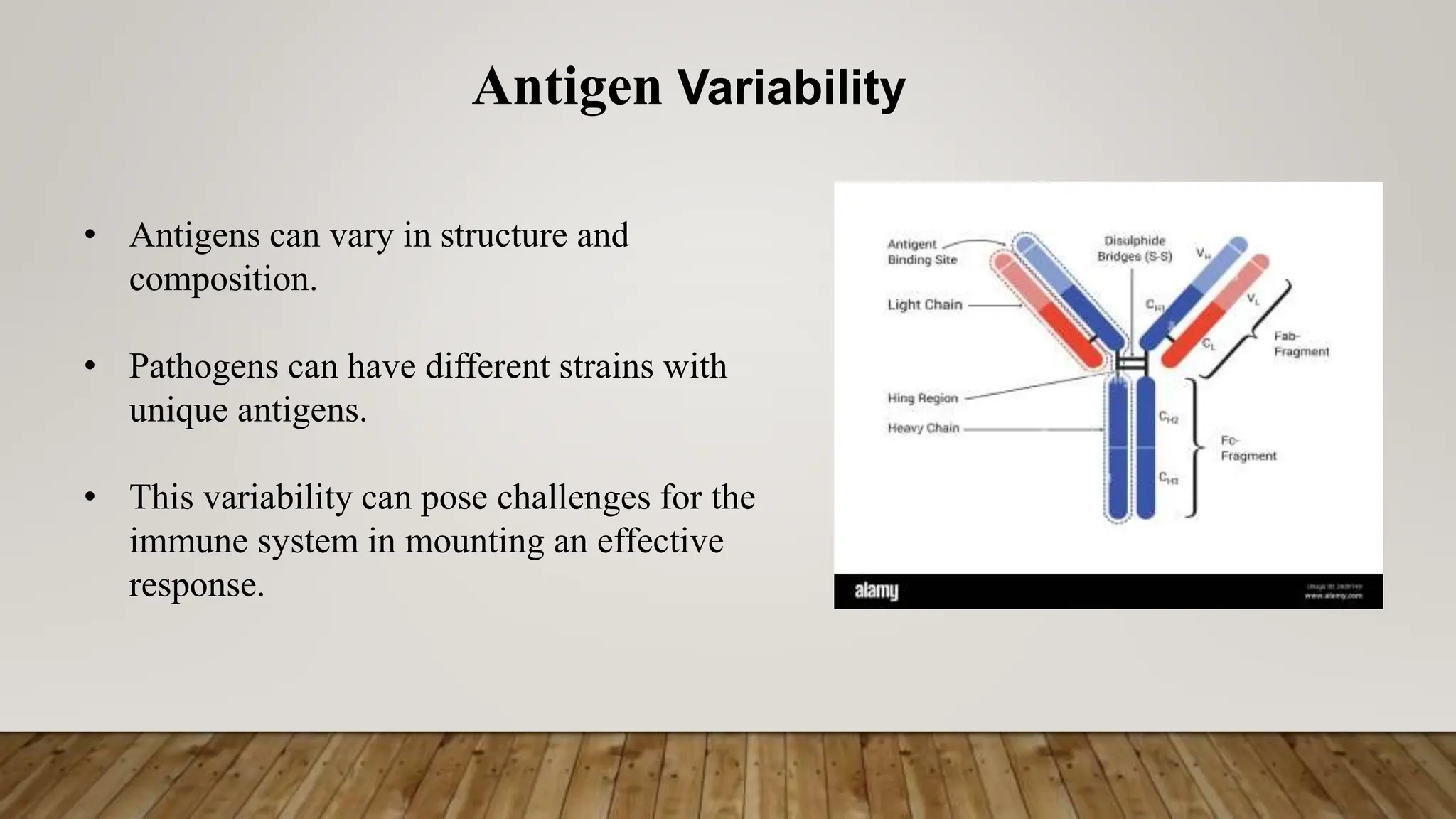 What Is Antigen presentation.pptx chemistry ppt | PPT