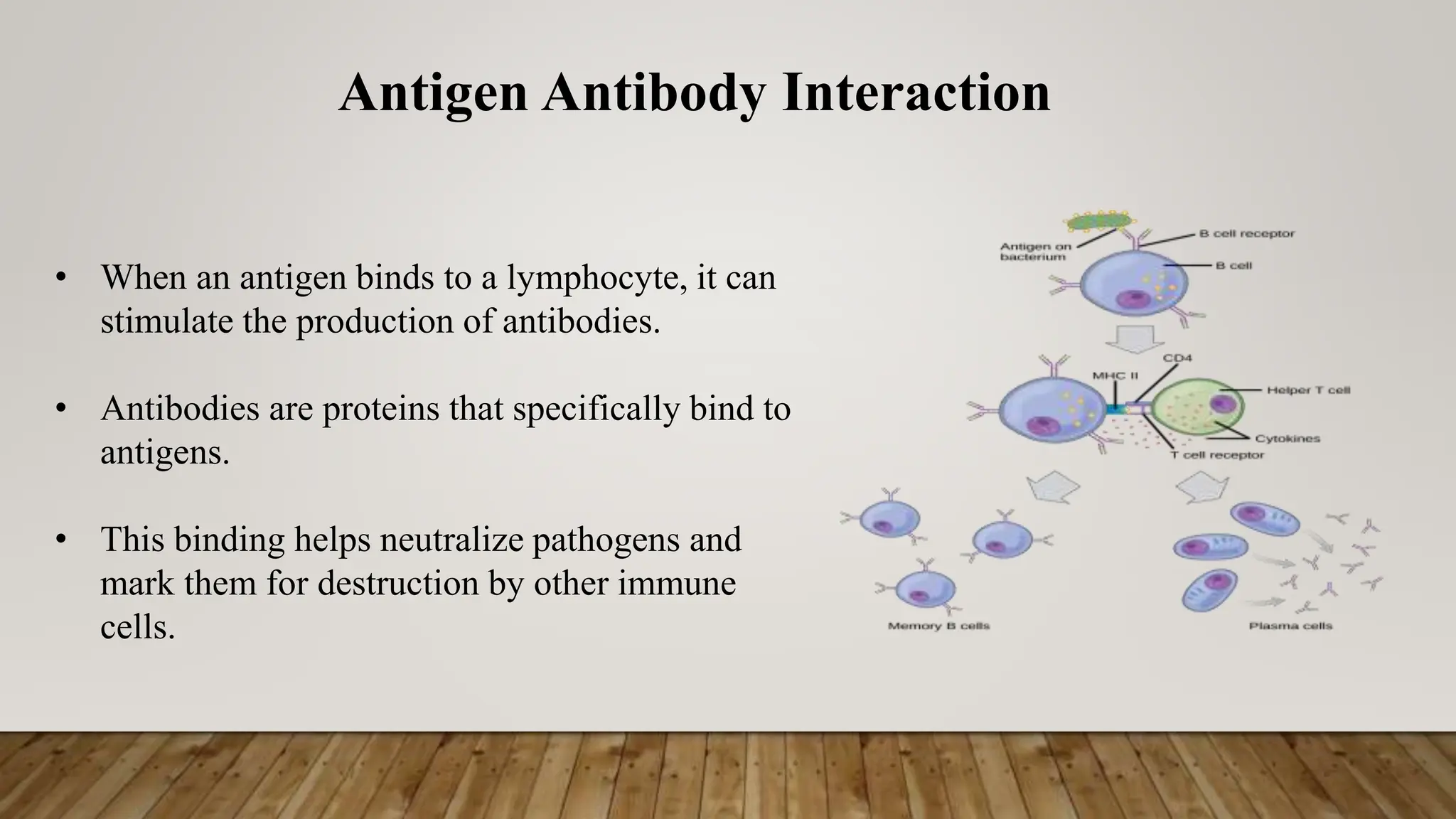 What Is Antigen presentation.pptx chemistry ppt | PPT