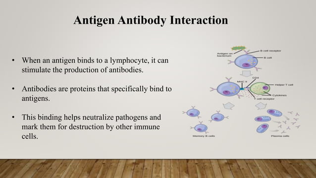 What Is Antigen presentation.pptx chemistry ppt | PPT
