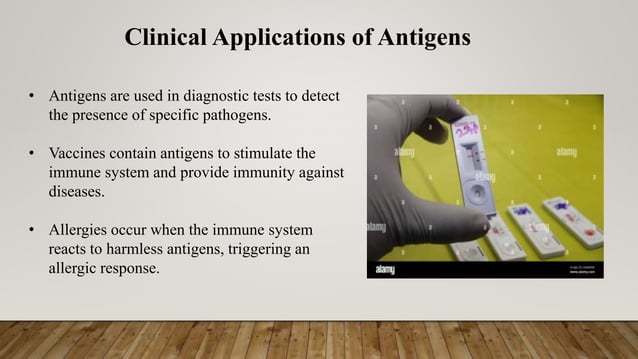 What Is Antigen presentation.pptx chemistry ppt | PPT