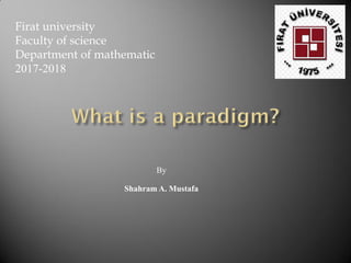 Paradigm Definition