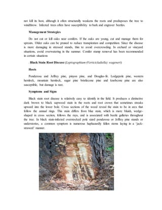 What is a pest pp508, 3(2-1) | DOCX