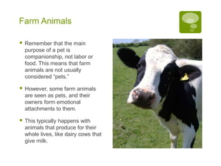 What is a pet | PPTX