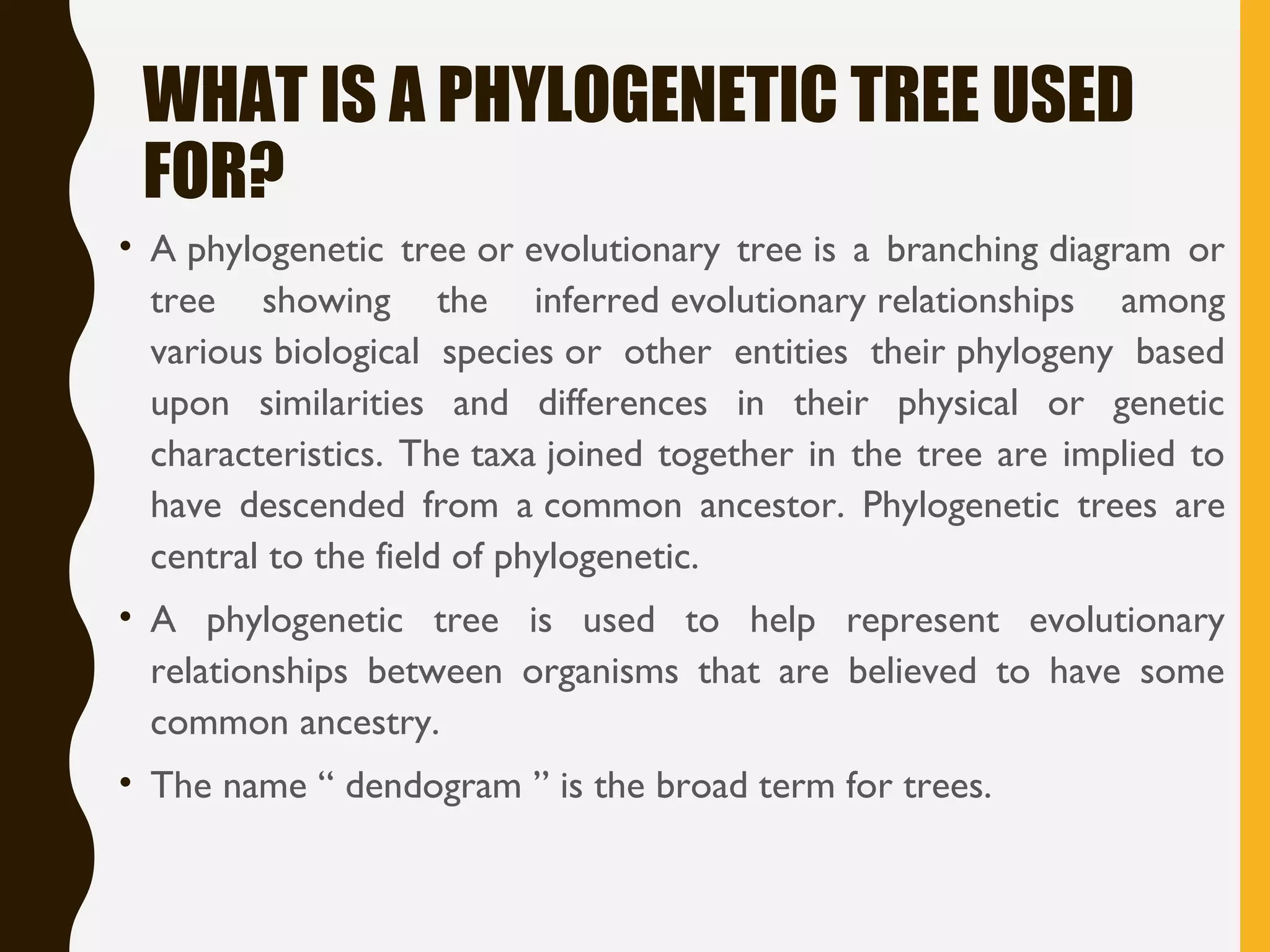 Phylogenetic Tree, types and Applicantion | PPT