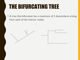 Phylogenetic Tree, types and Applicantion | PPT