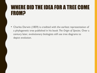 Phylogenetic Tree, types and Applicantion | PPT