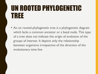 Phylogenetic Tree, types and Applicantion | PPT