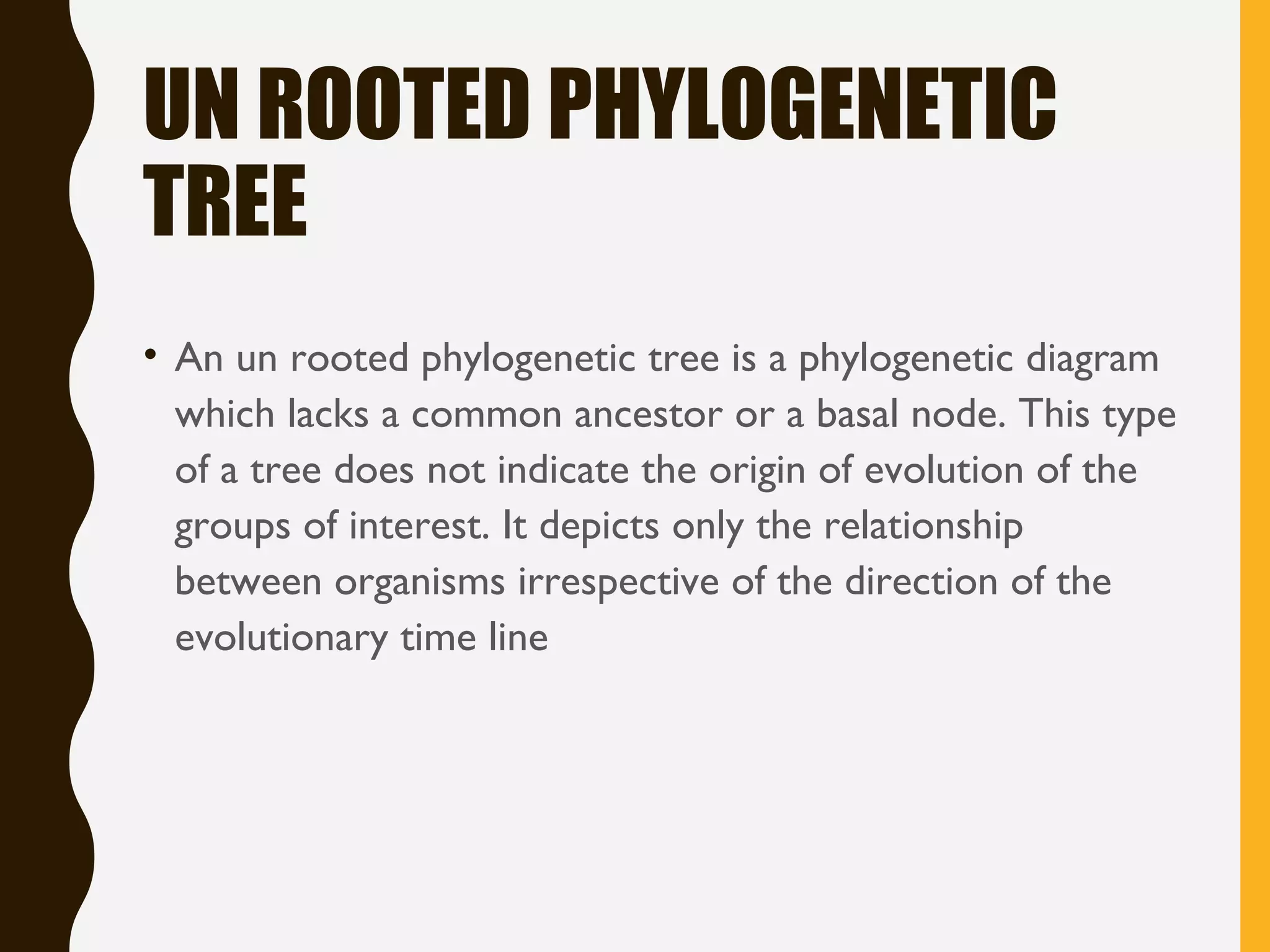 Phylogenetic Tree, types and Applicantion | PPT