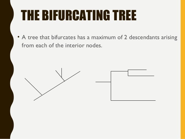 Phylogenetic Tree, types and Applicantion