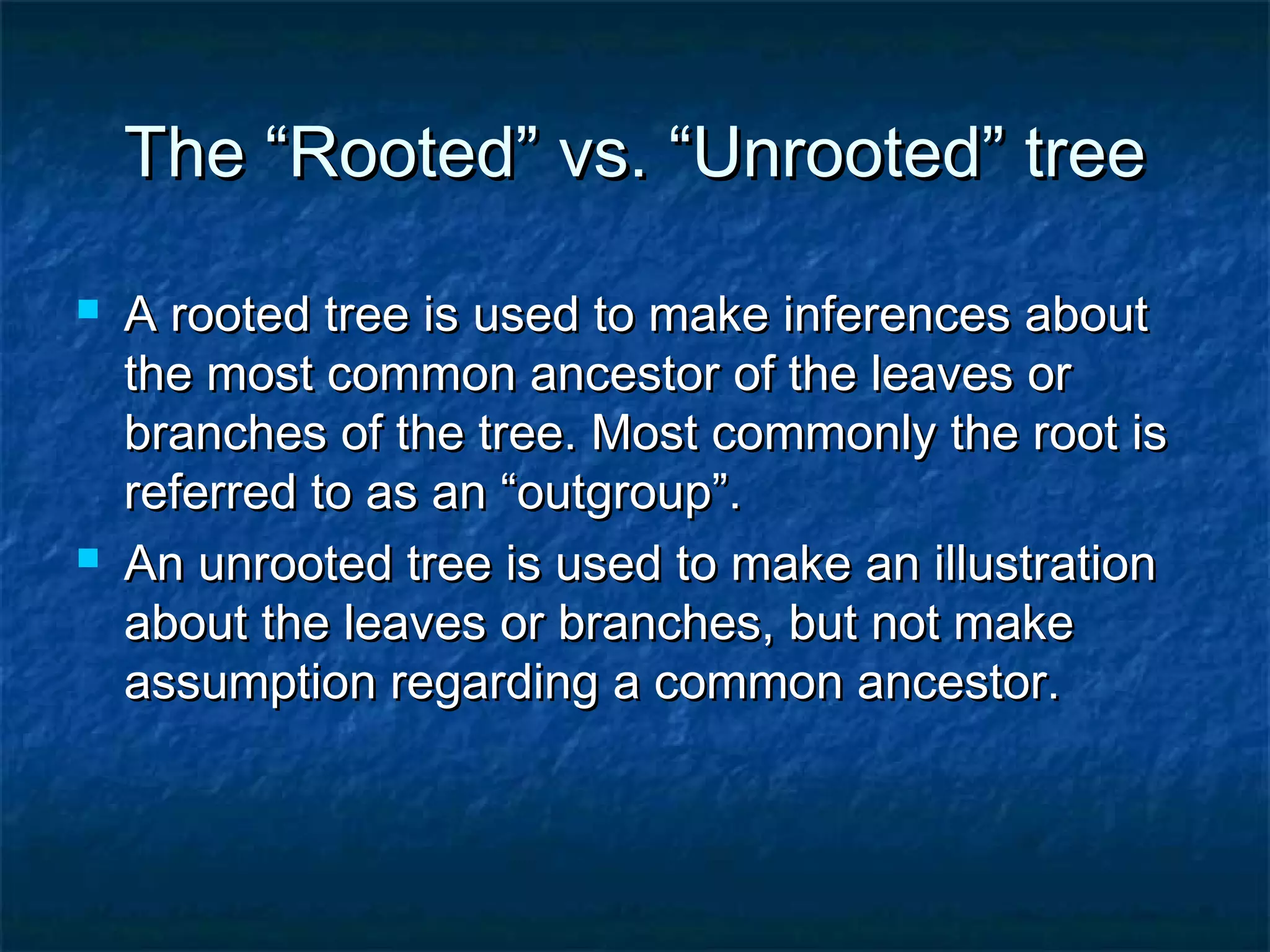What is a phylogenetic tree | PPT