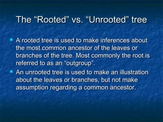What is a phylogenetic tree | PPT
