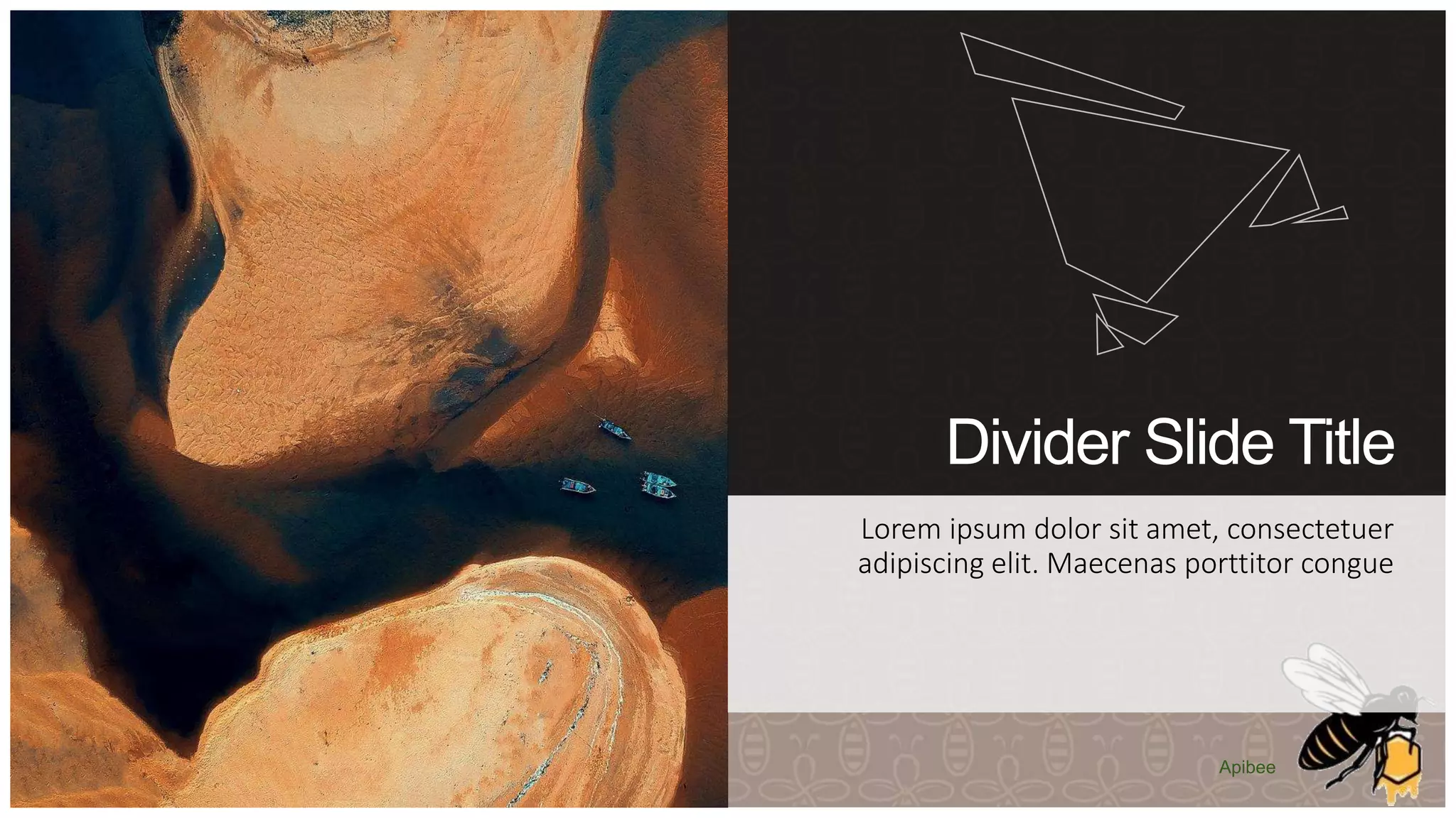 What is Apitherapy? | PPTX