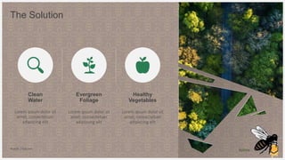 What is Apitherapy? | PPTX