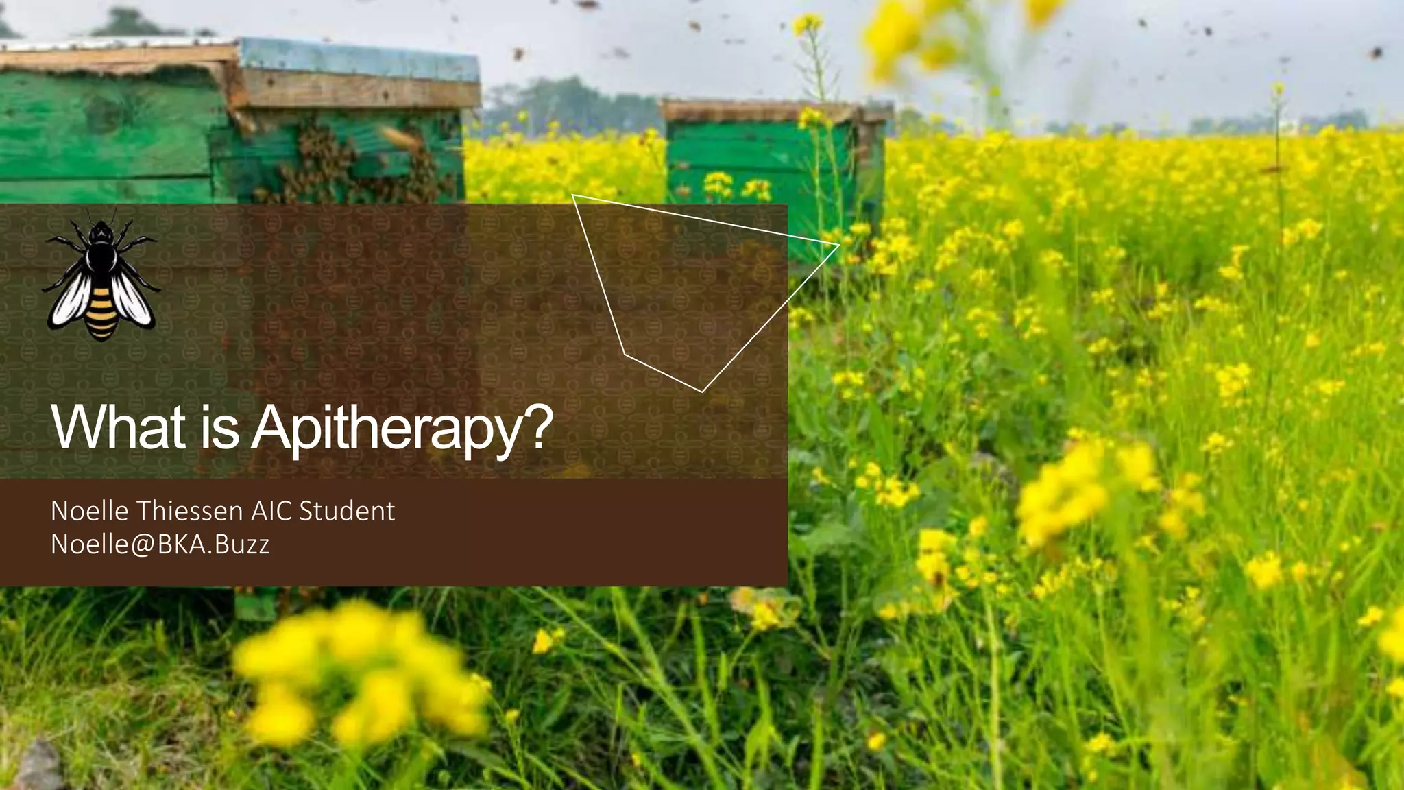What is Apitherapy? | PPT
