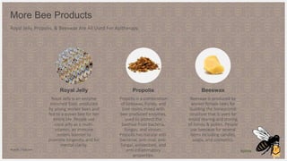 What is Apitherapy? | PPT