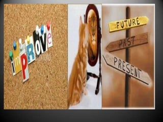 What is a PLE or PLN | PPT