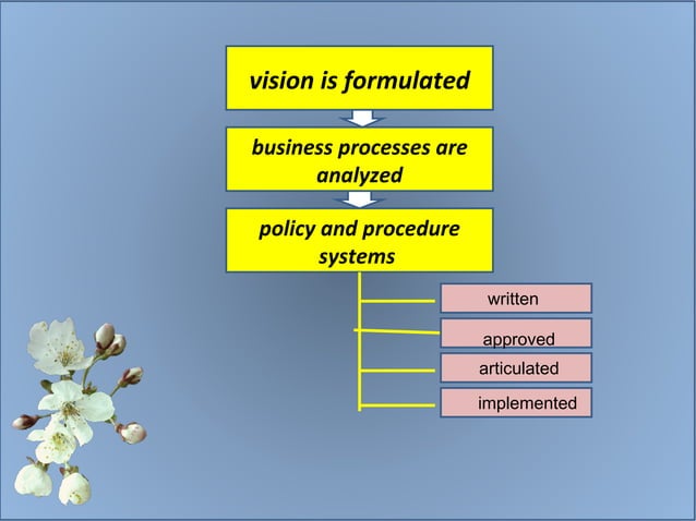 What is a policy? | PPT | Business | Business and Finance