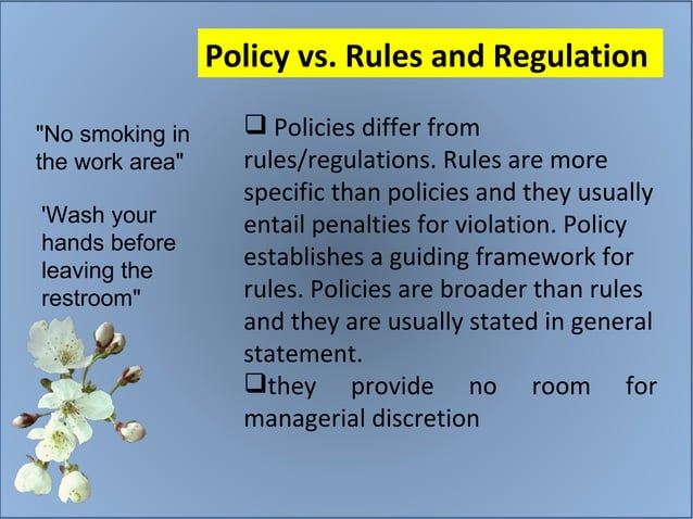 What is a policy? | PPT | Business | Business and Finance