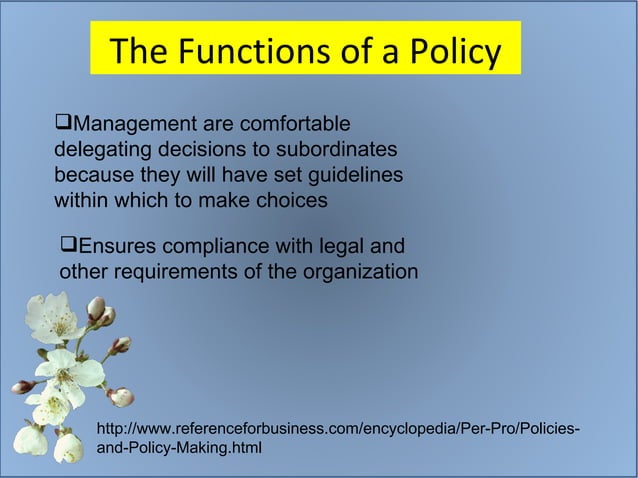 What is a policy? | PPT | Business | Business and Finance