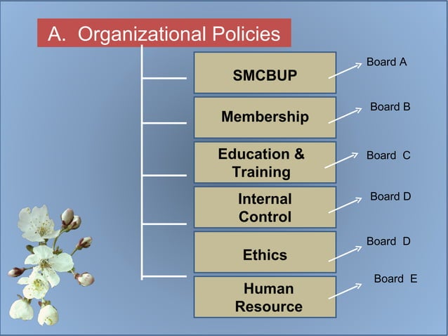 What is a policy? | PPT | Business | Business and Finance