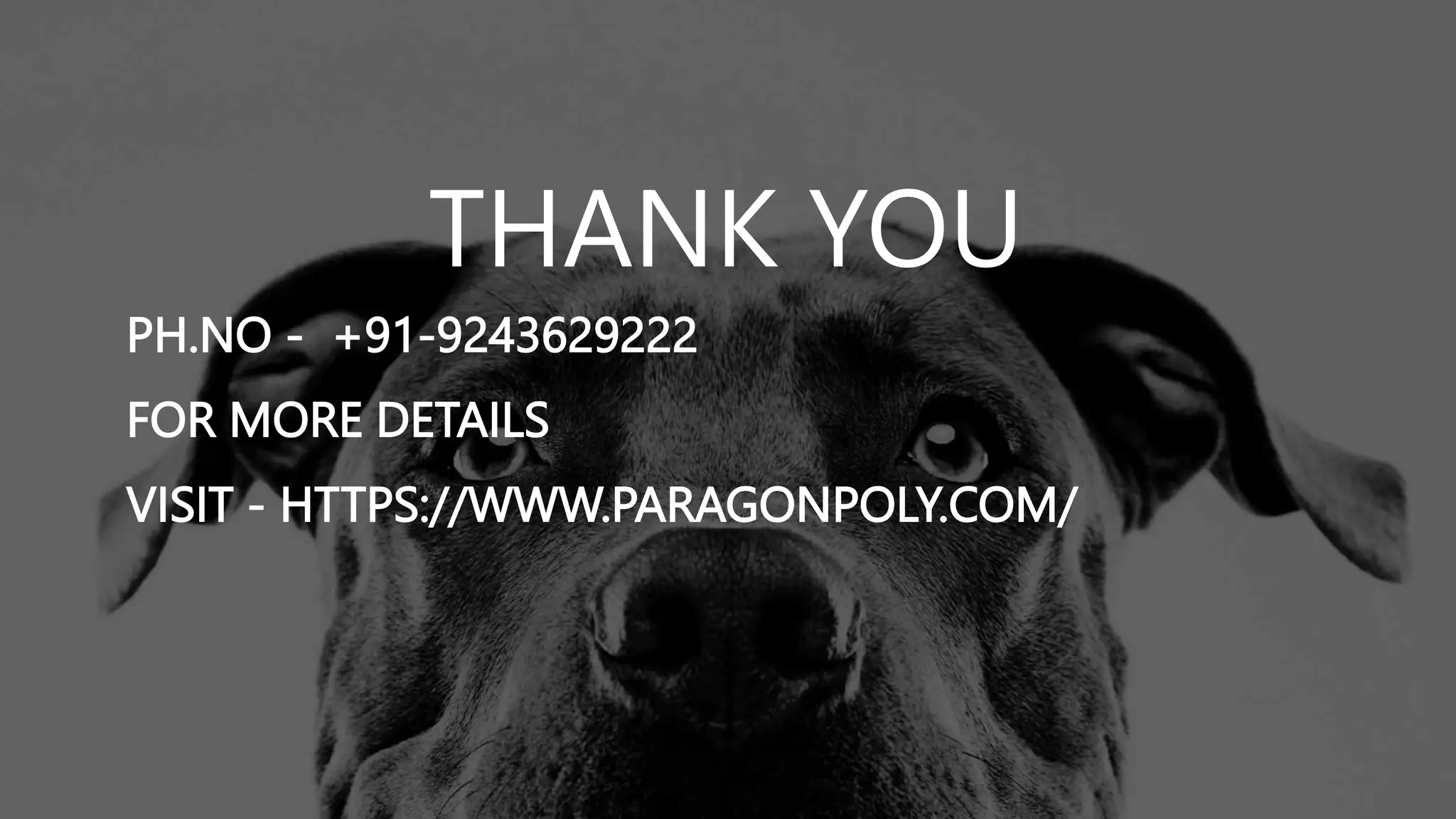 What is a polyester film, and what.pptx