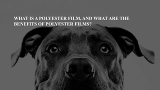 What is a polyester film, and what.pptx