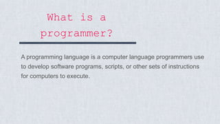 What is a programmer | PPTX