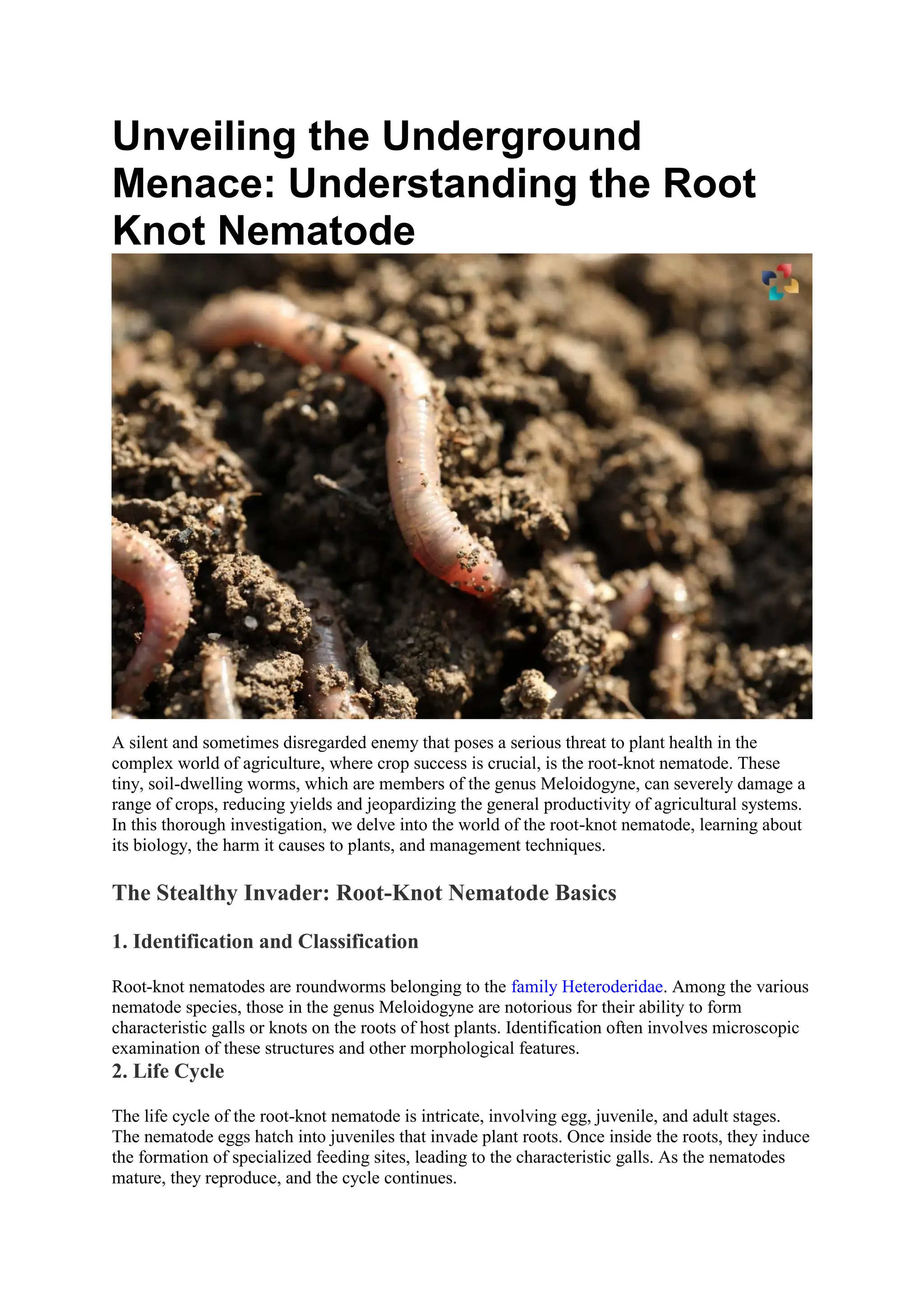What is a Root-knot Nematode? Deep Understanding | The Lifesciences ...