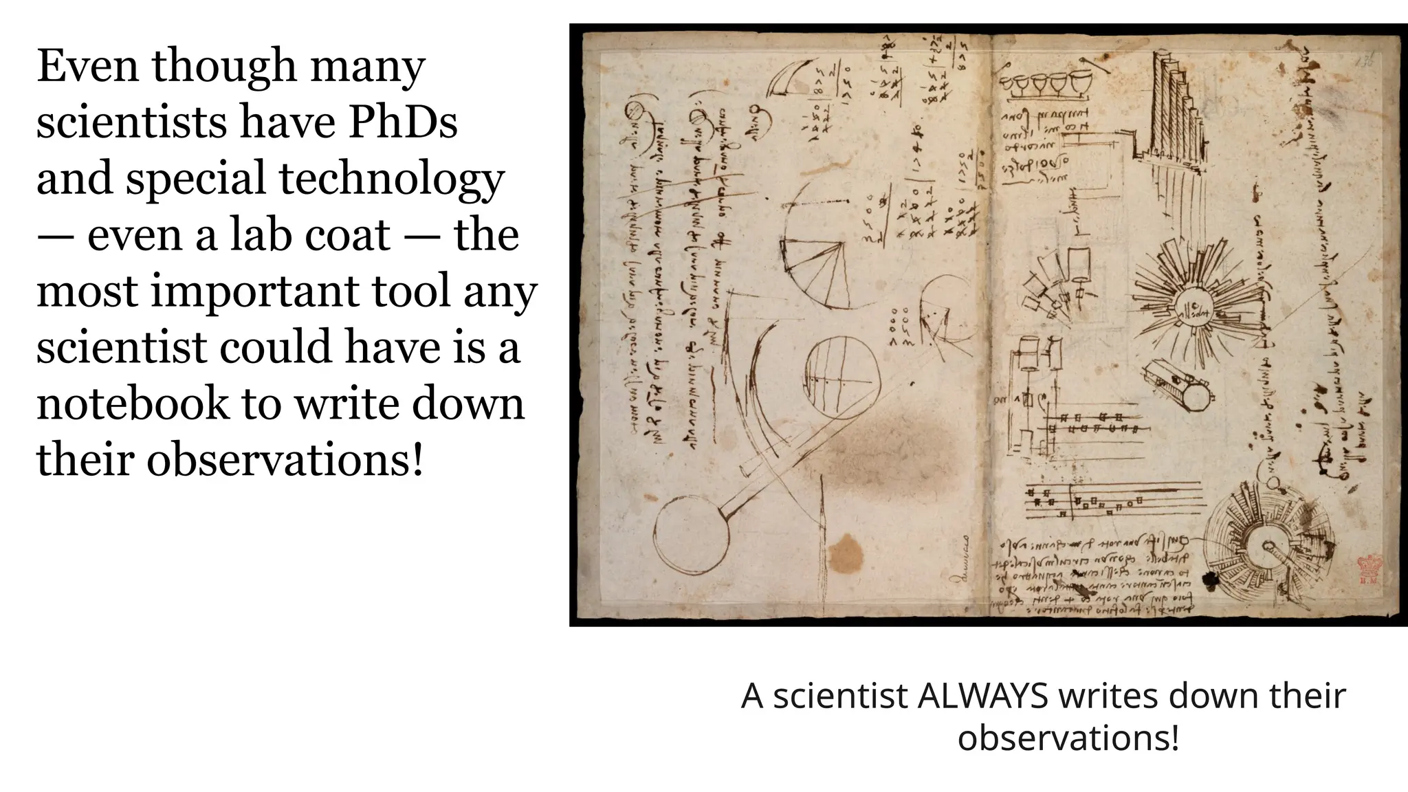 science class . What is a Scientist.pptx