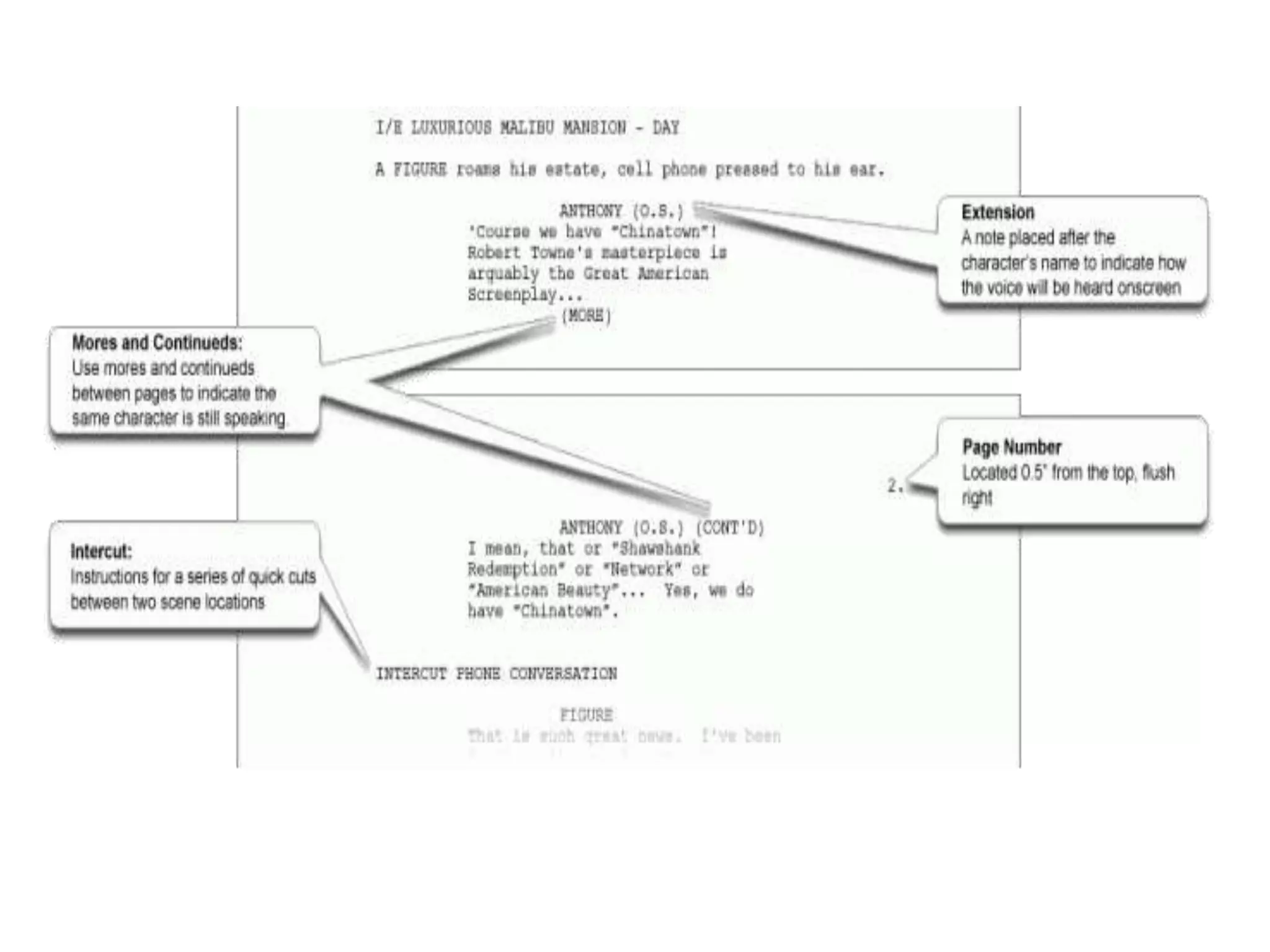 What is a script | PPT