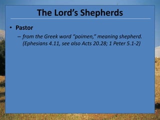 What is a Shepherd? | PPTX