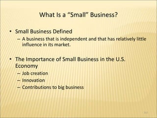 What is a Small Business - Brittany Killins | PPT