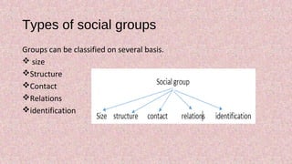 social group and its types | PPT