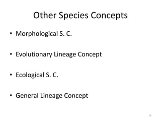 What is a Species? | PPTX