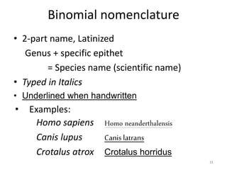 What is a Species? | PPTX