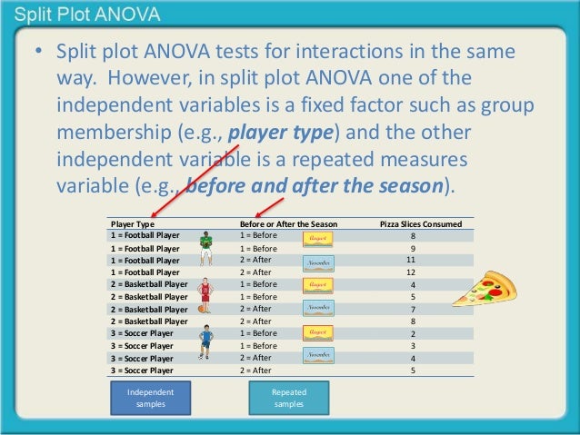 What Is A Split Plot Anova - Design Talk