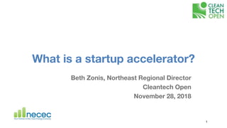 What is a startup accelerator - Cleantech Open example | PPTX
