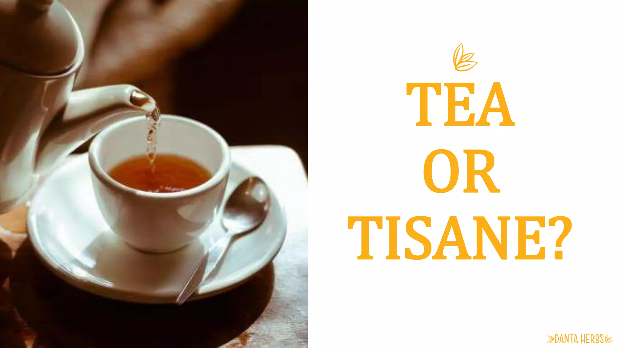 What is a tisane | PPT