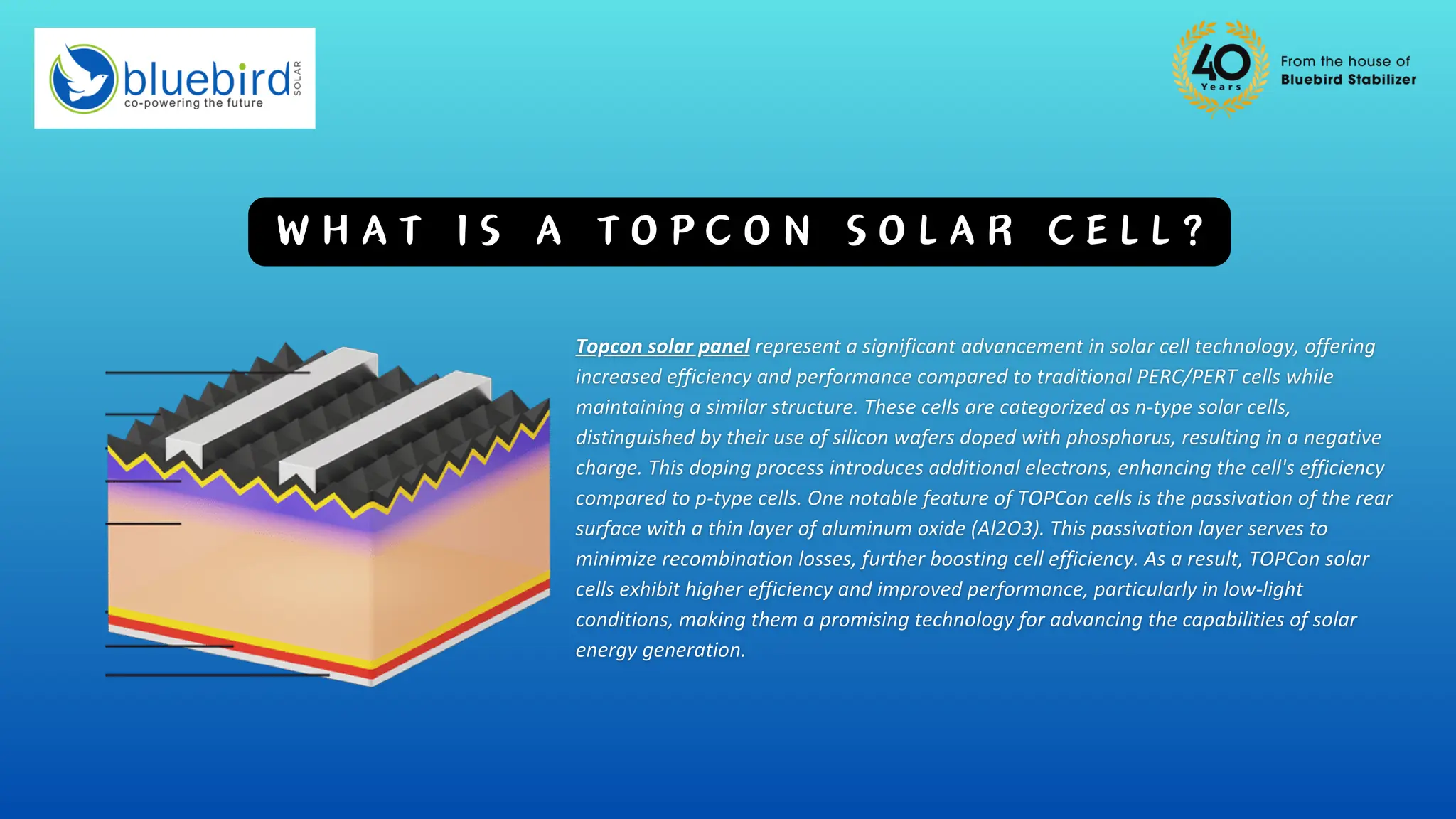 How do TOPCon Solar Cells/Solar Panel Work? | PDF