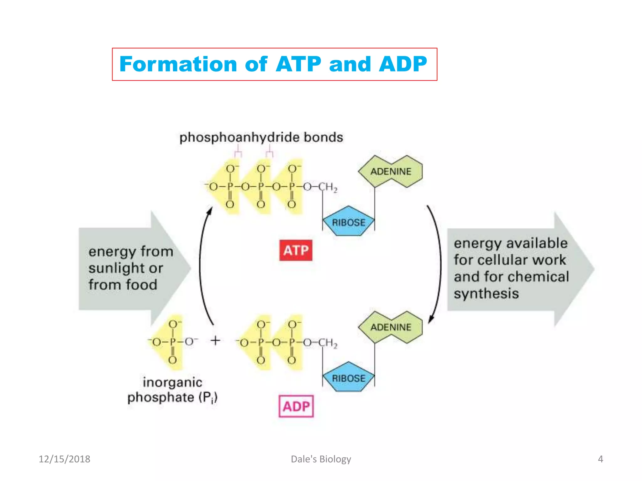 What is an ATP | PPTX