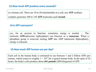 What is an ATP | PPTX