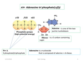 What is an ATP | PPTX