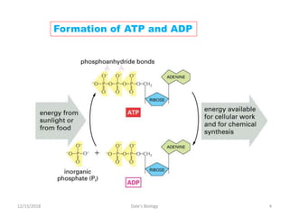 What is an ATP | PPTX