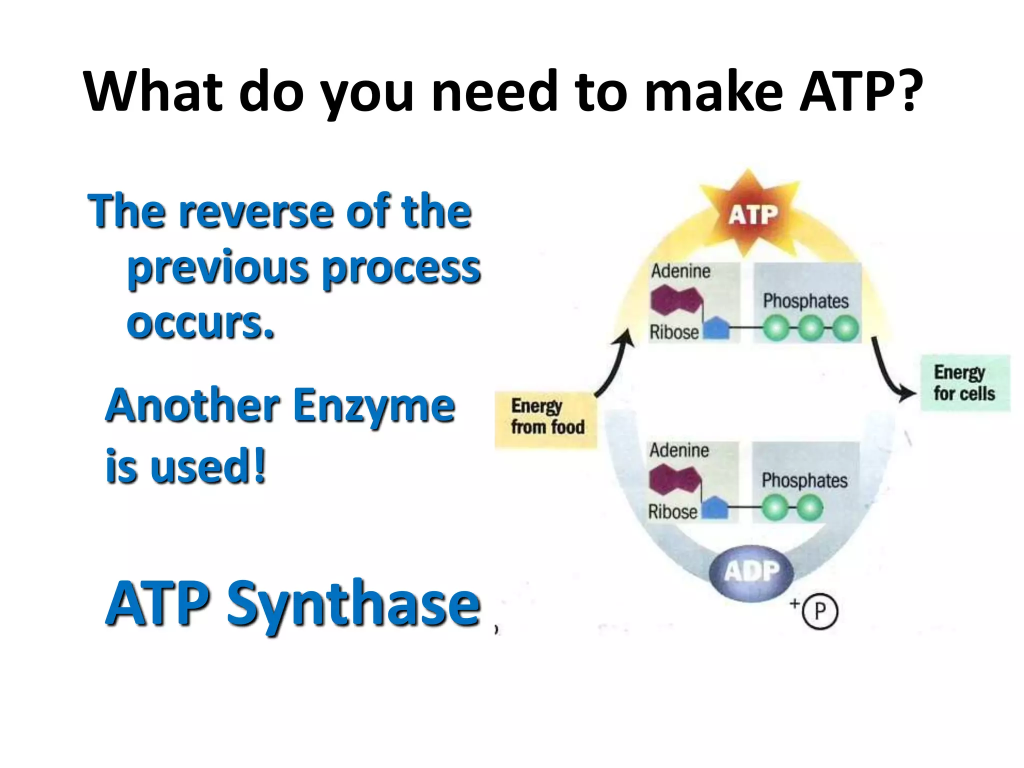 What Is ATP.ppt